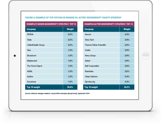 Climate and Biodiversity in Equity Investing