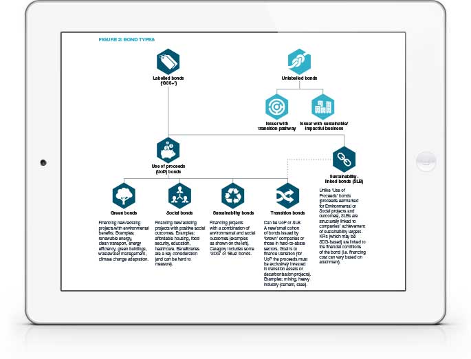 Fixed Income with Impact? GSS+ Bonds and Beyond - Sector in Brief