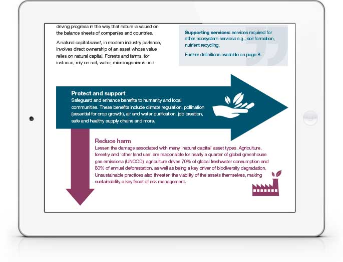 Natural Capital Investing | bfinance